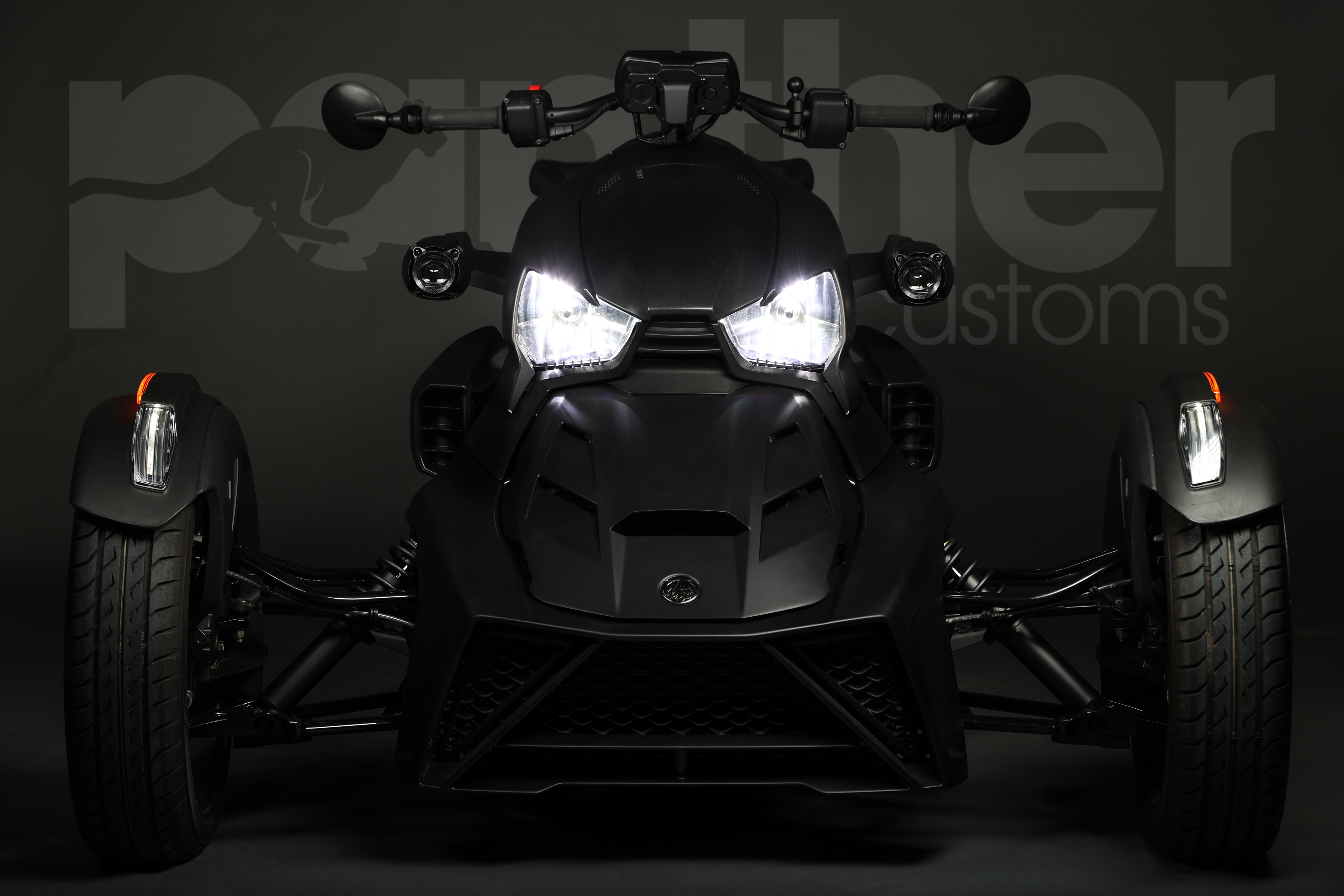 Gallery | Panther Customs | Custom Ryker Components