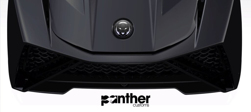 Gallery | Panther Customs | Custom Ryker Components