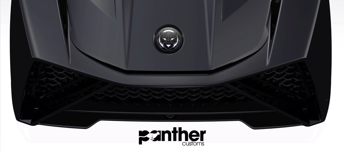 Gallery | Panther Customs | Custom Ryker Components